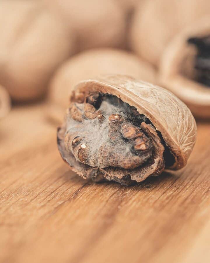 The Solution to Mold in Peanuts: Symptoms of Mold Sickness - AtMyTable