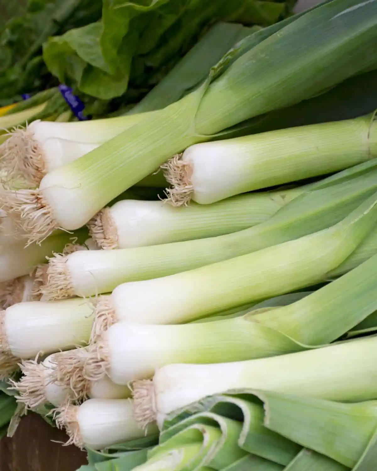 Easy Vegan Leek and Tofu Recipe (Gluten-free) - AtMyTable